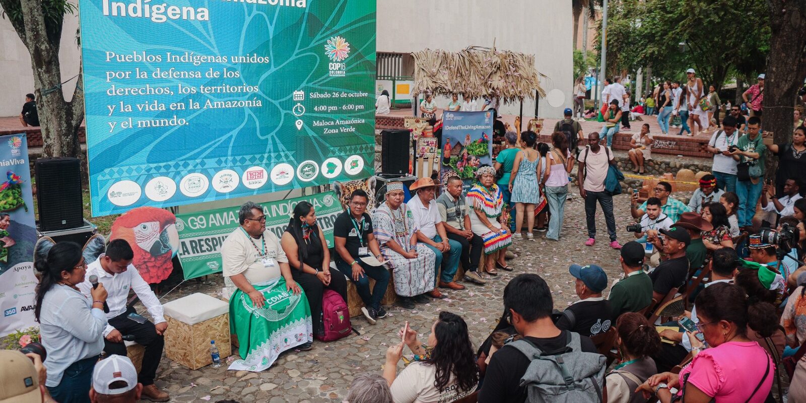 Cop16 Organizações Indígenas De Nove Países Lançam Aliança Inédita Em