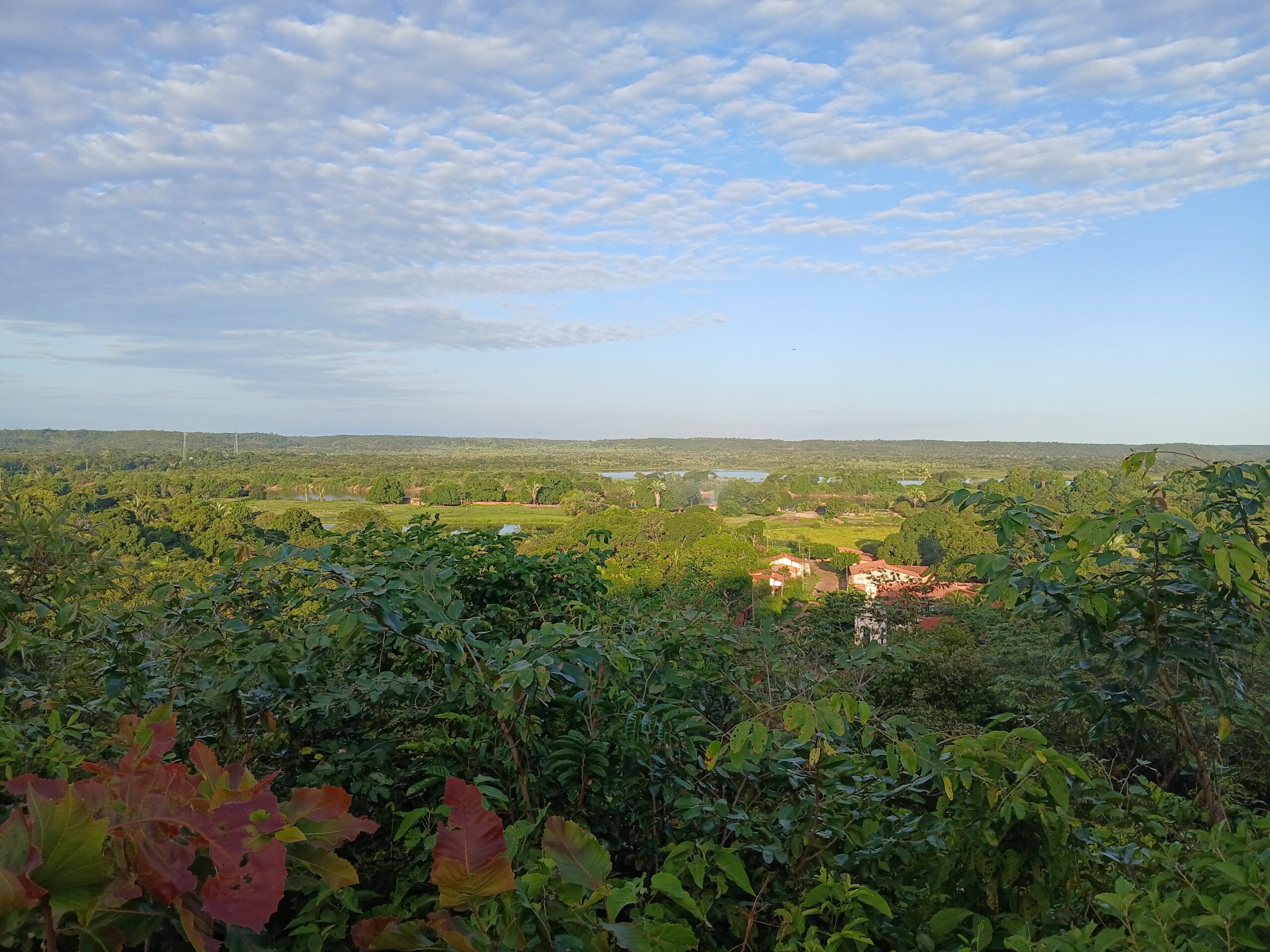 CARTA DOS POVOS DO CAMPO, FLORESTAS E ÁGUAS DA AMAZÔNIA EM APOIO A ...